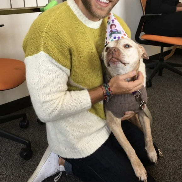 Everything Pets Posh Party on Poshmark